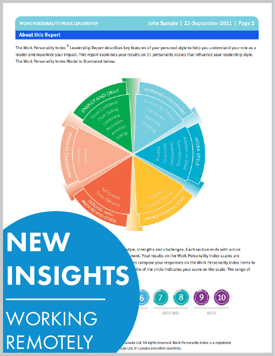 Personality Testing with the Work Personality Index ® | Psychometrics ...