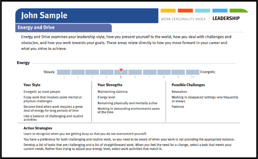 Revised: Work Personality Index Reports - Psychometrics Canada